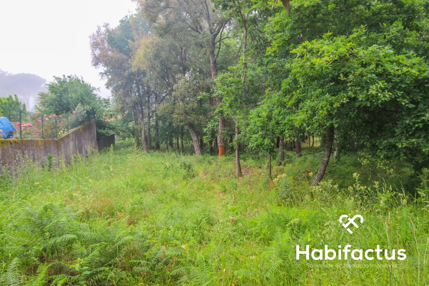 Terrain , Viseu, Viseu / Vente / 70000 / Ref. V410317 - Imobiliária